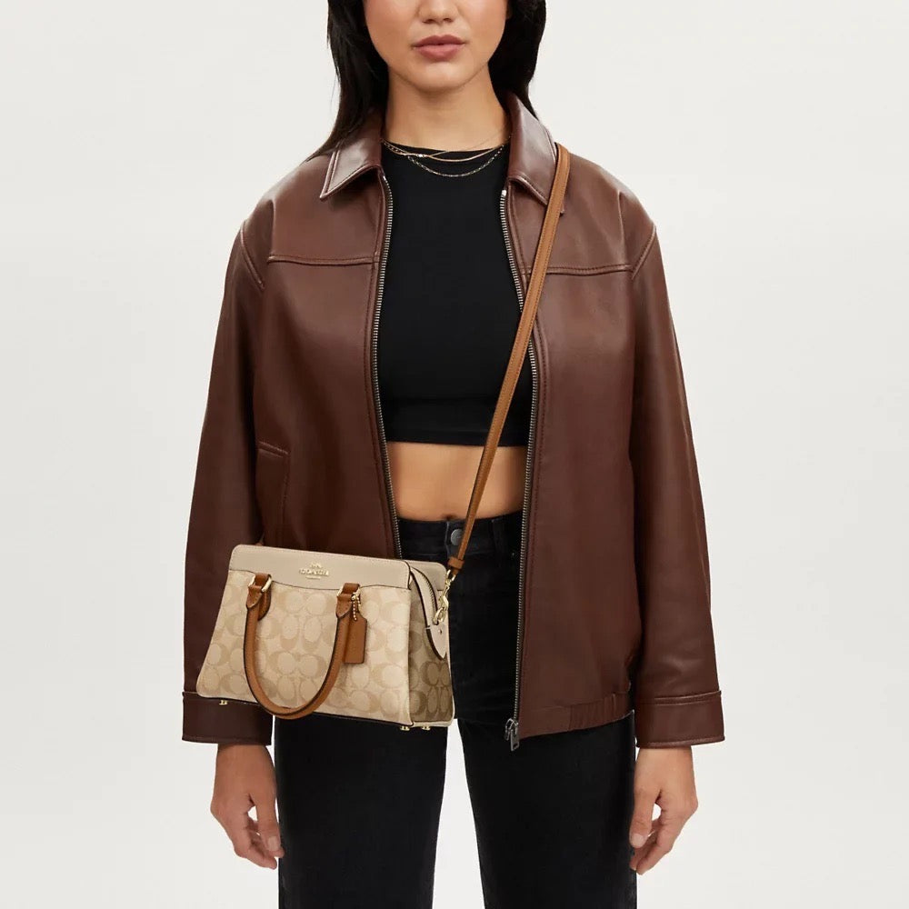 Discover the Exclusive COACH Mini Darcie Carryall Bag – A Blend of Sty